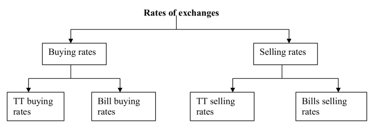 Basics of Exchange Rate | Buyer's Credit & Supplier's Credit